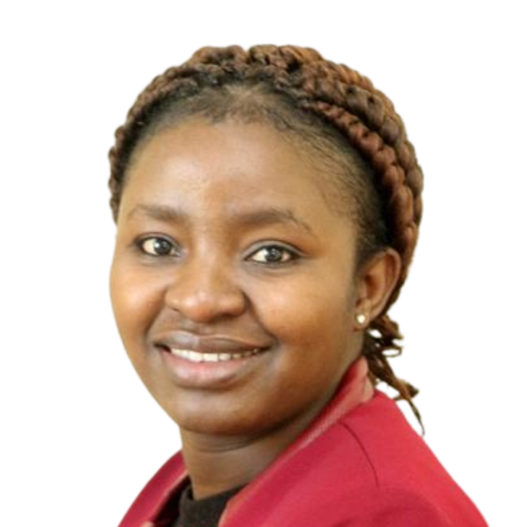 Meet Our Team - Part Time CFO Services LLP.